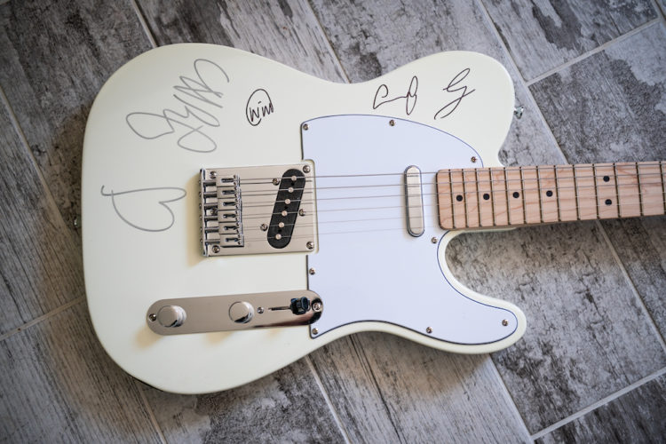Music Support: Music Icons Auction - Music Support